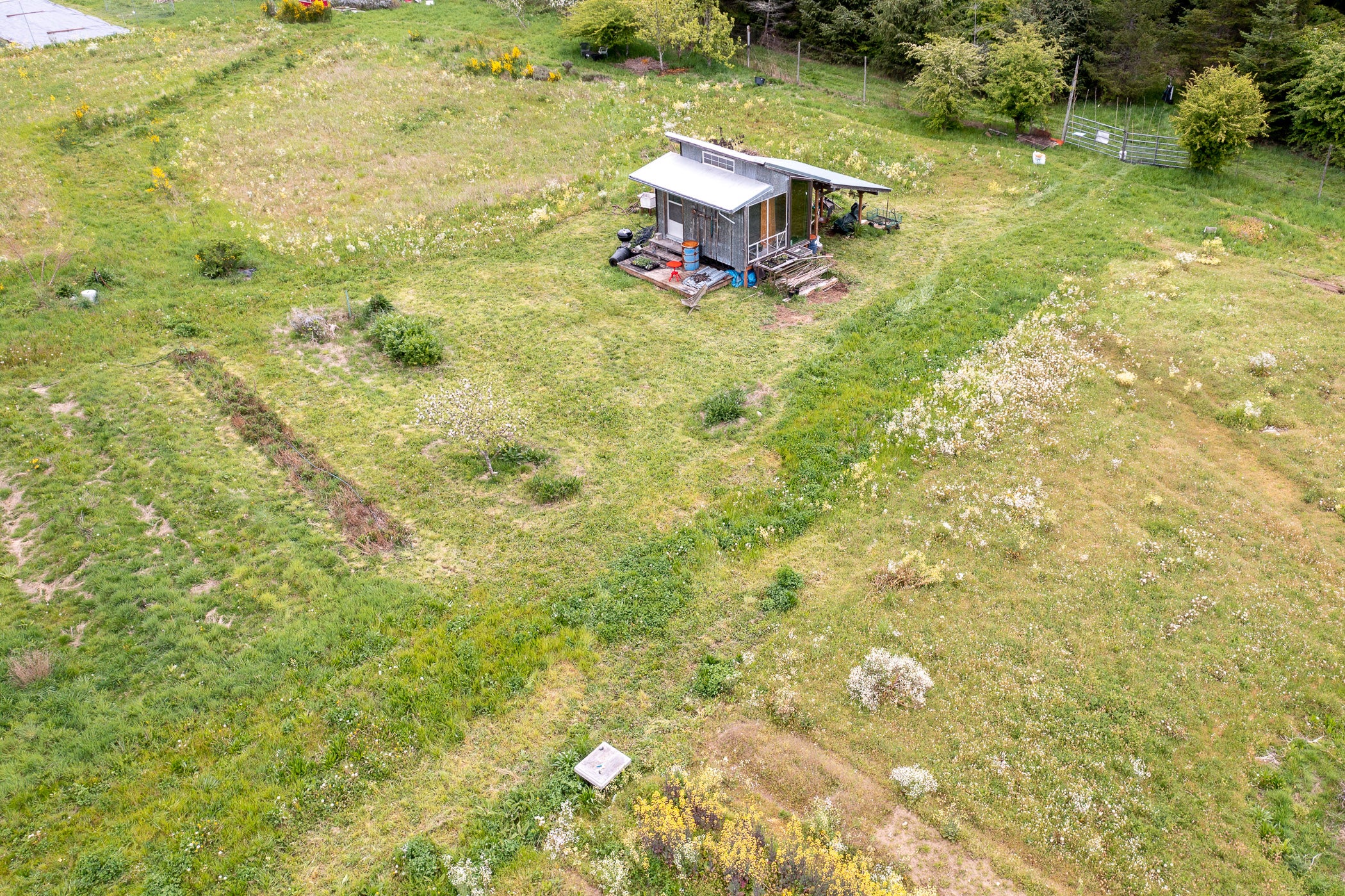 Epic Farm Photos! – Sister Sage Herbs